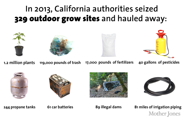 24 Mind-Blowing Facts About Marijuana Production in America – Mother Jones