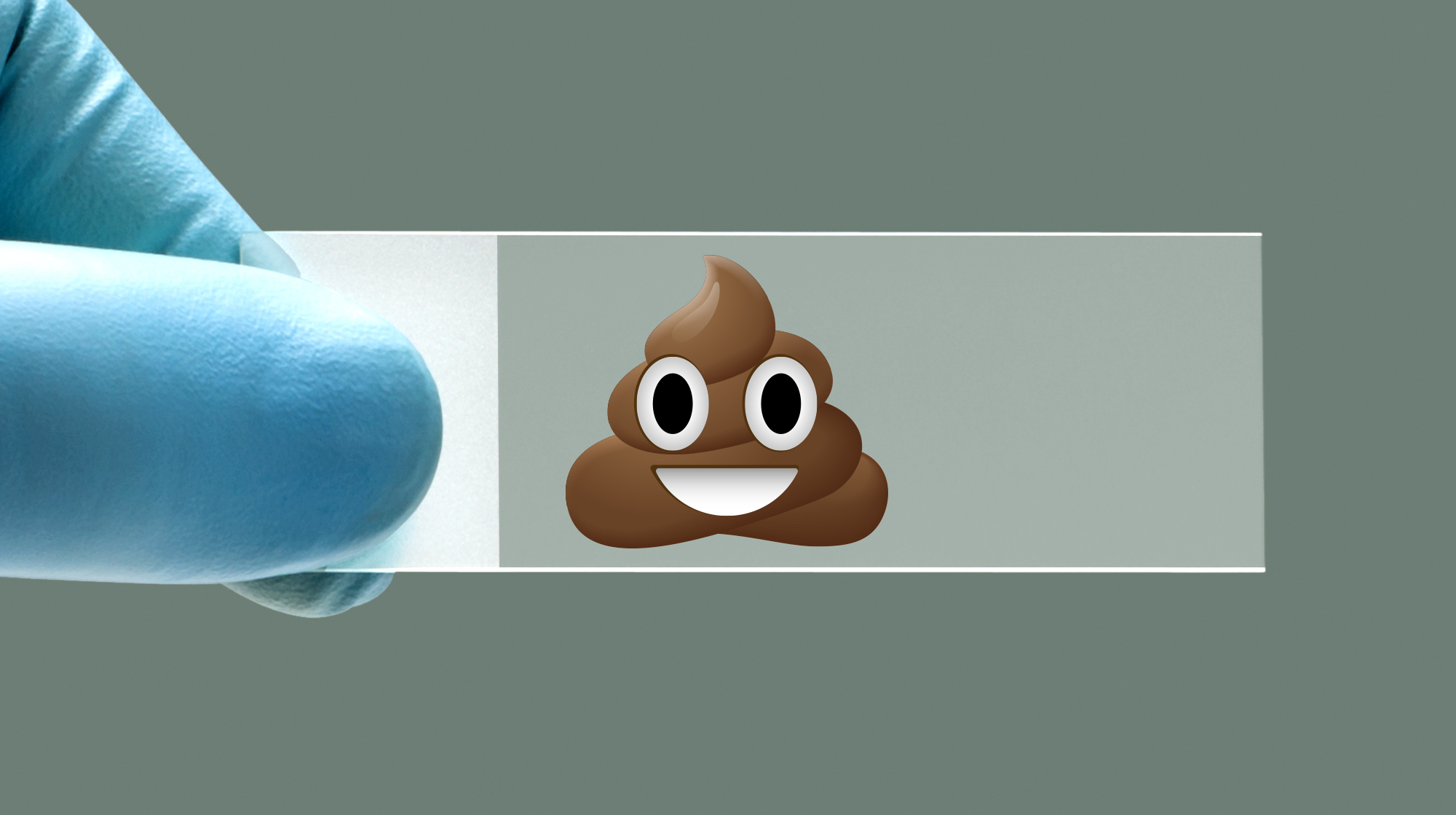 A New Study Supports the Idea That Some People Are “Super Poopers.” You ...