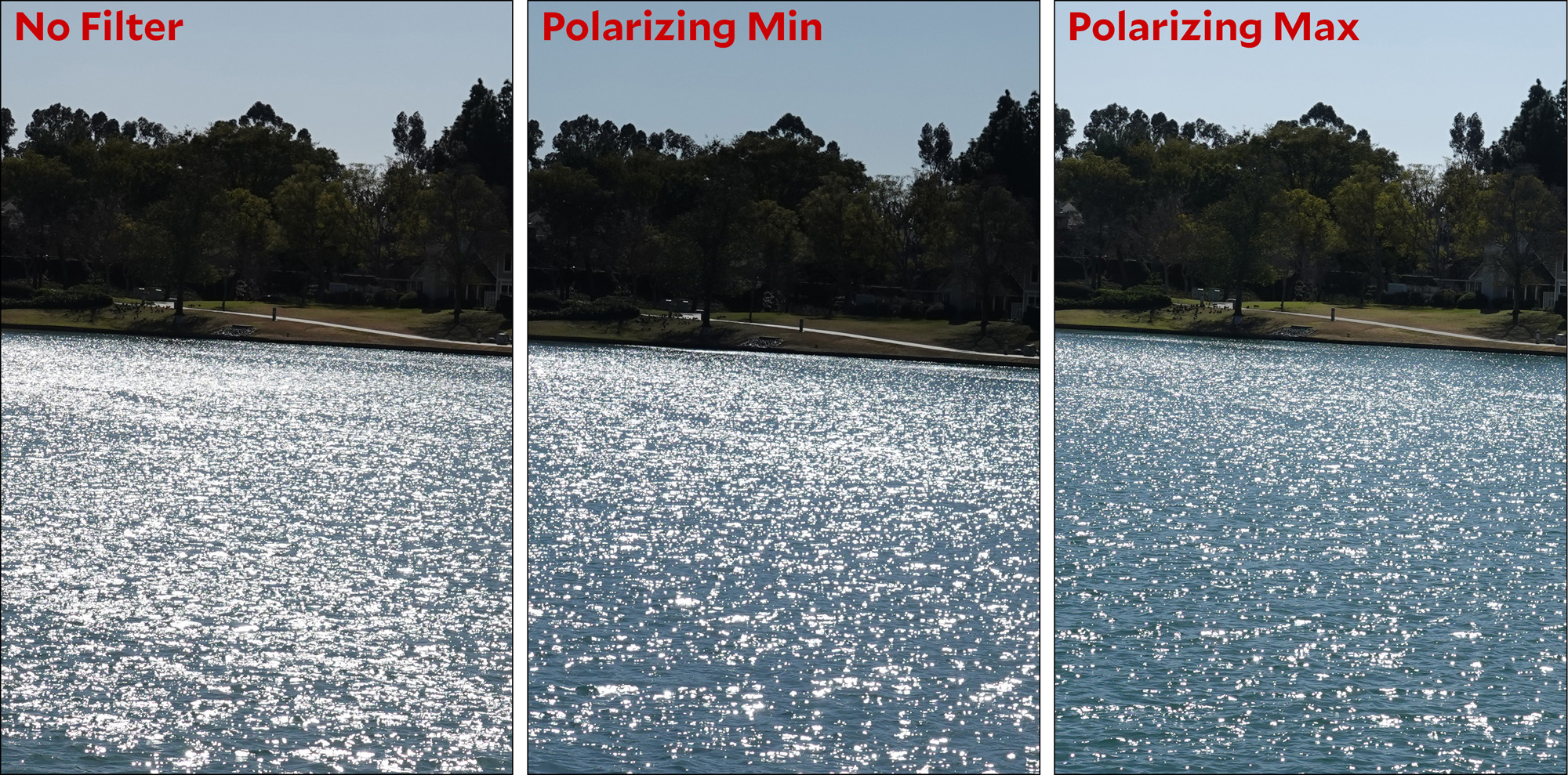 The Mighty Circular Polarizing Filter Explained in Pictures – Mother Jones