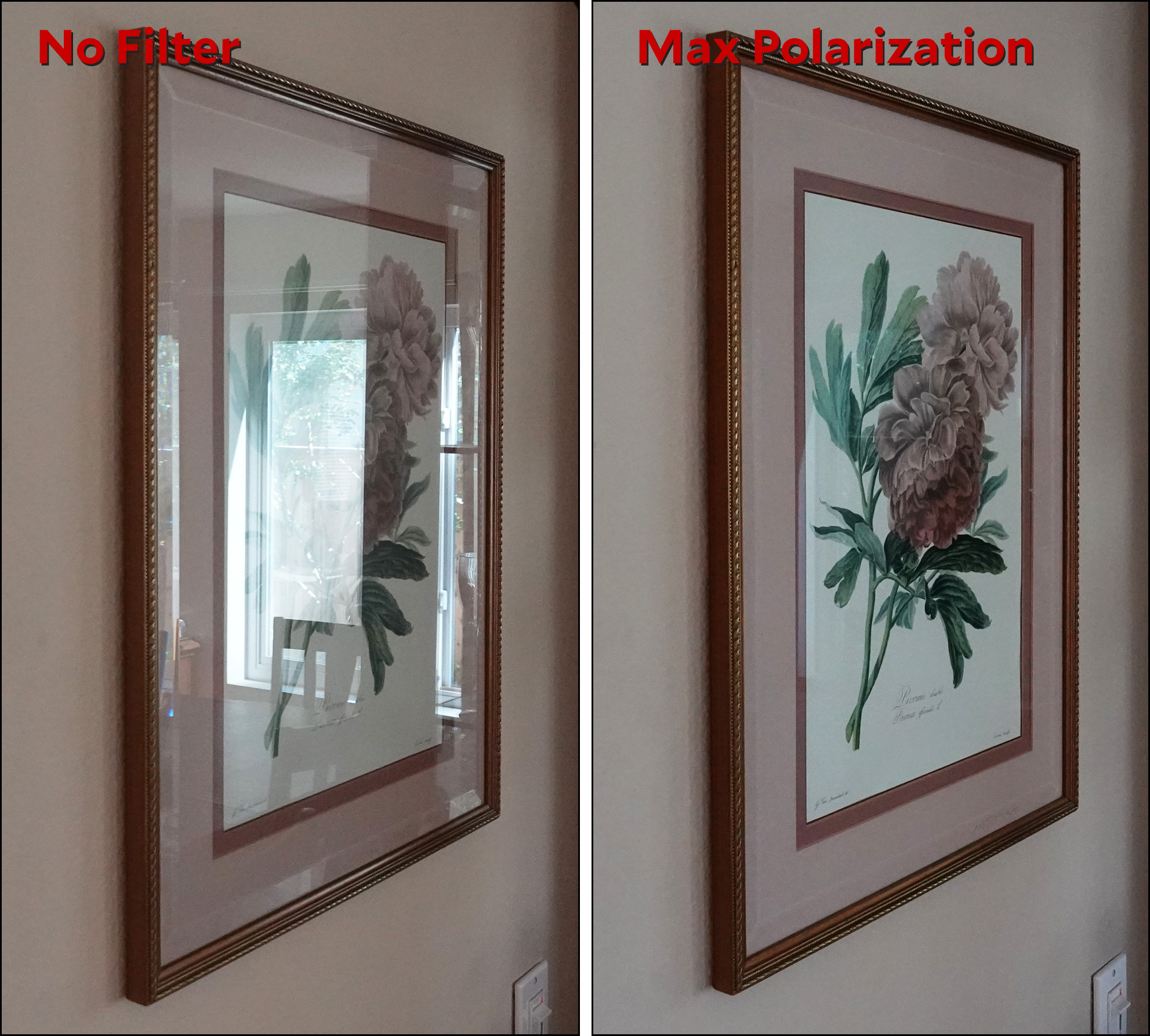 The Mighty Circular Polarizing Filter Explained in Pictures – Mother Jones