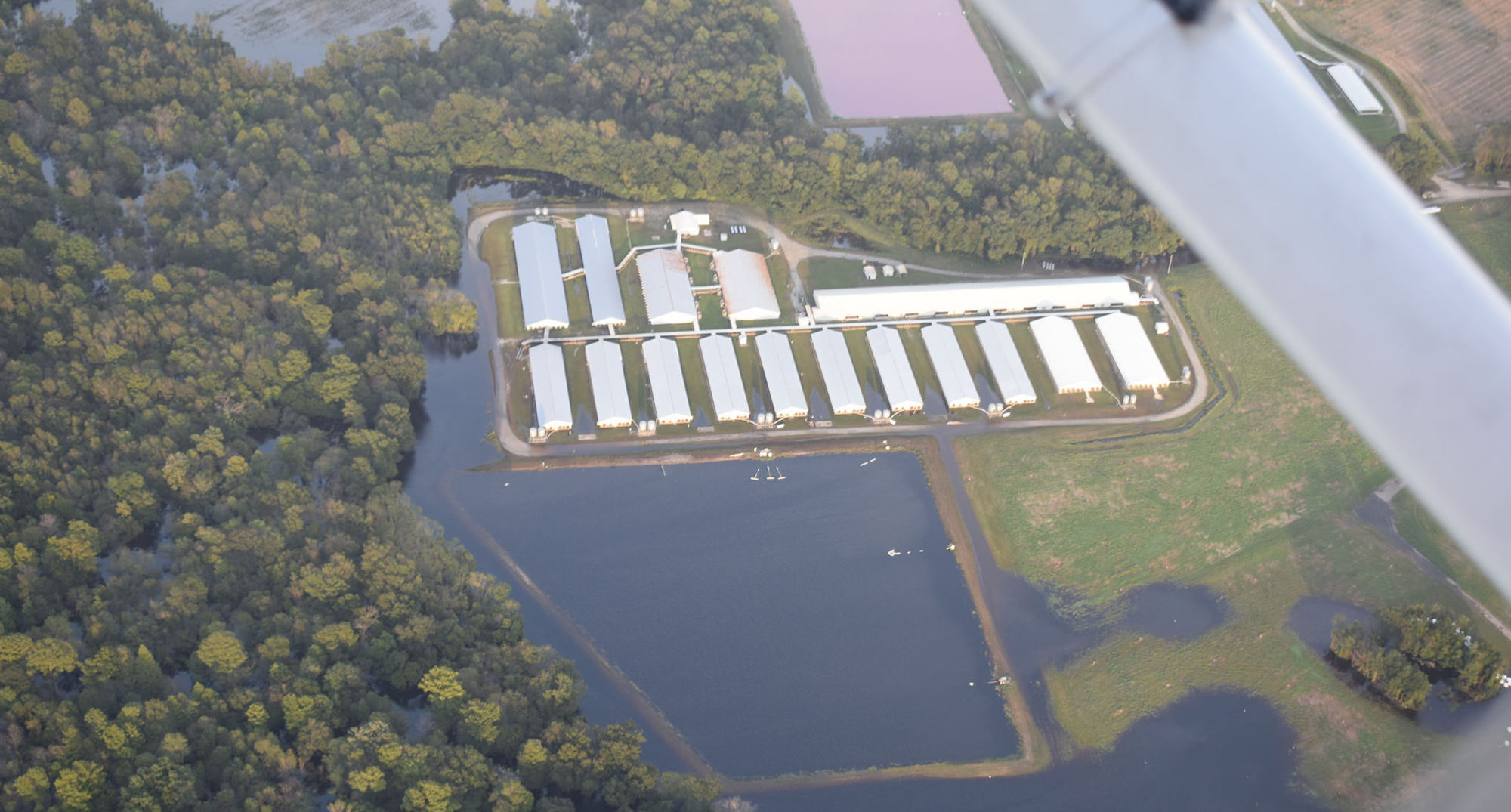 These Photos of Submerged North Carolina Livestock Farms Are ...