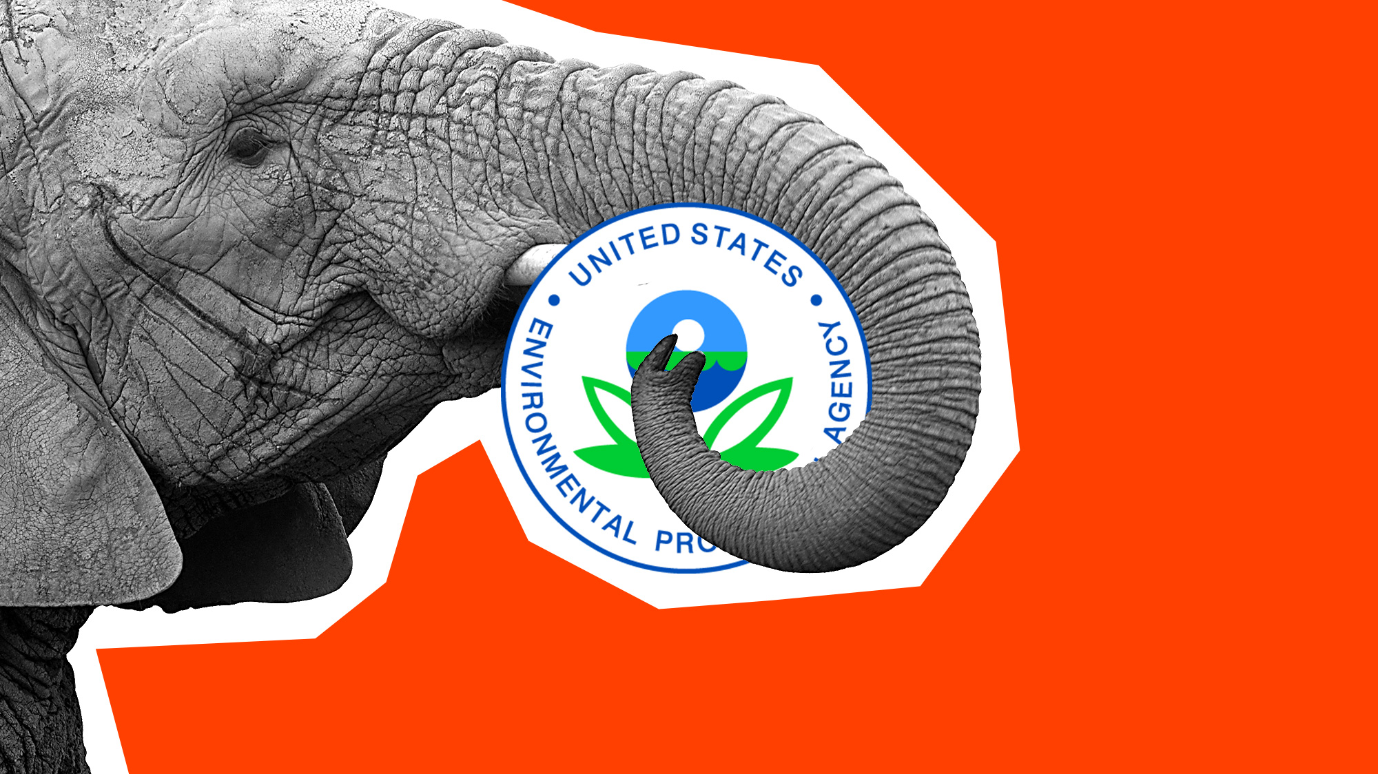 The Real Story Behind the EPA’s Efforts to Hire a Hyper-Aggressive ...