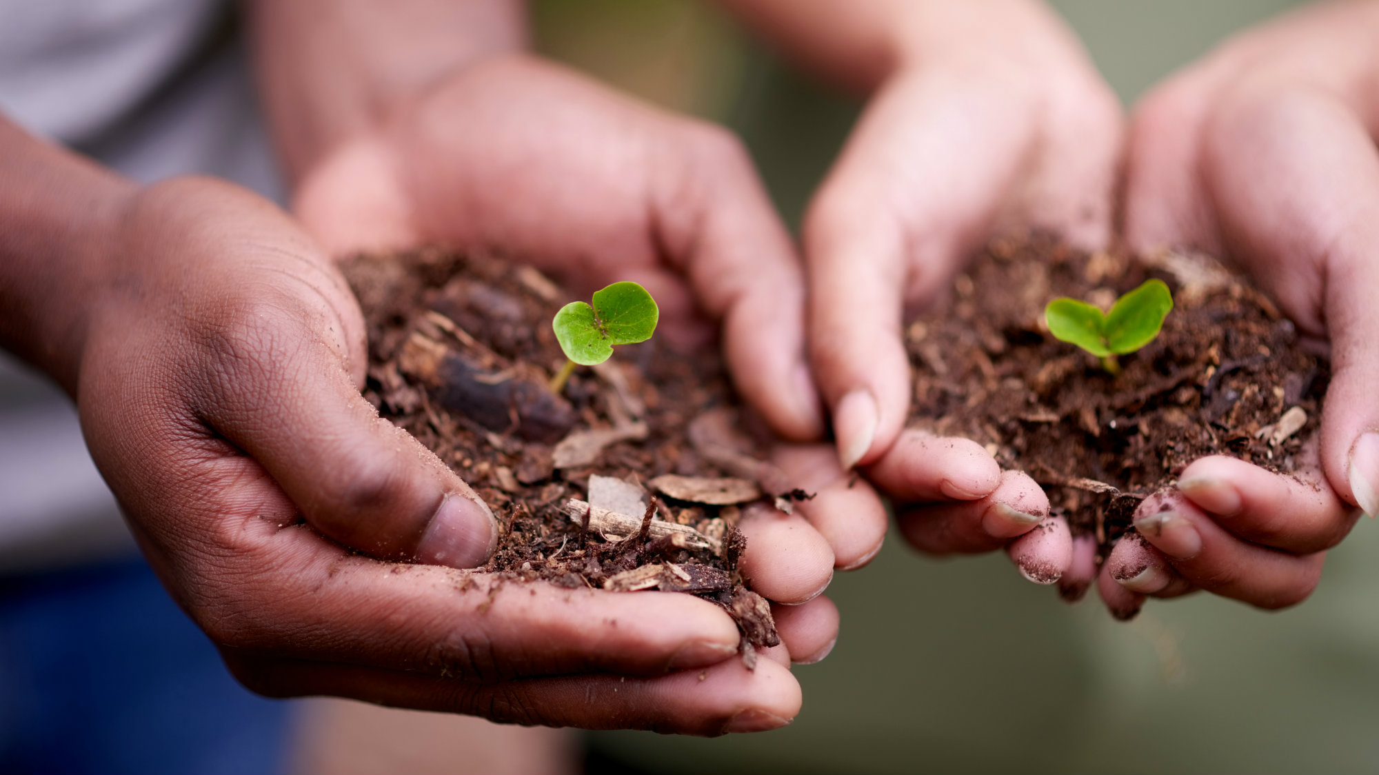 The Green Movement Has a Diversity Problem. And It’s Getting Worse ...