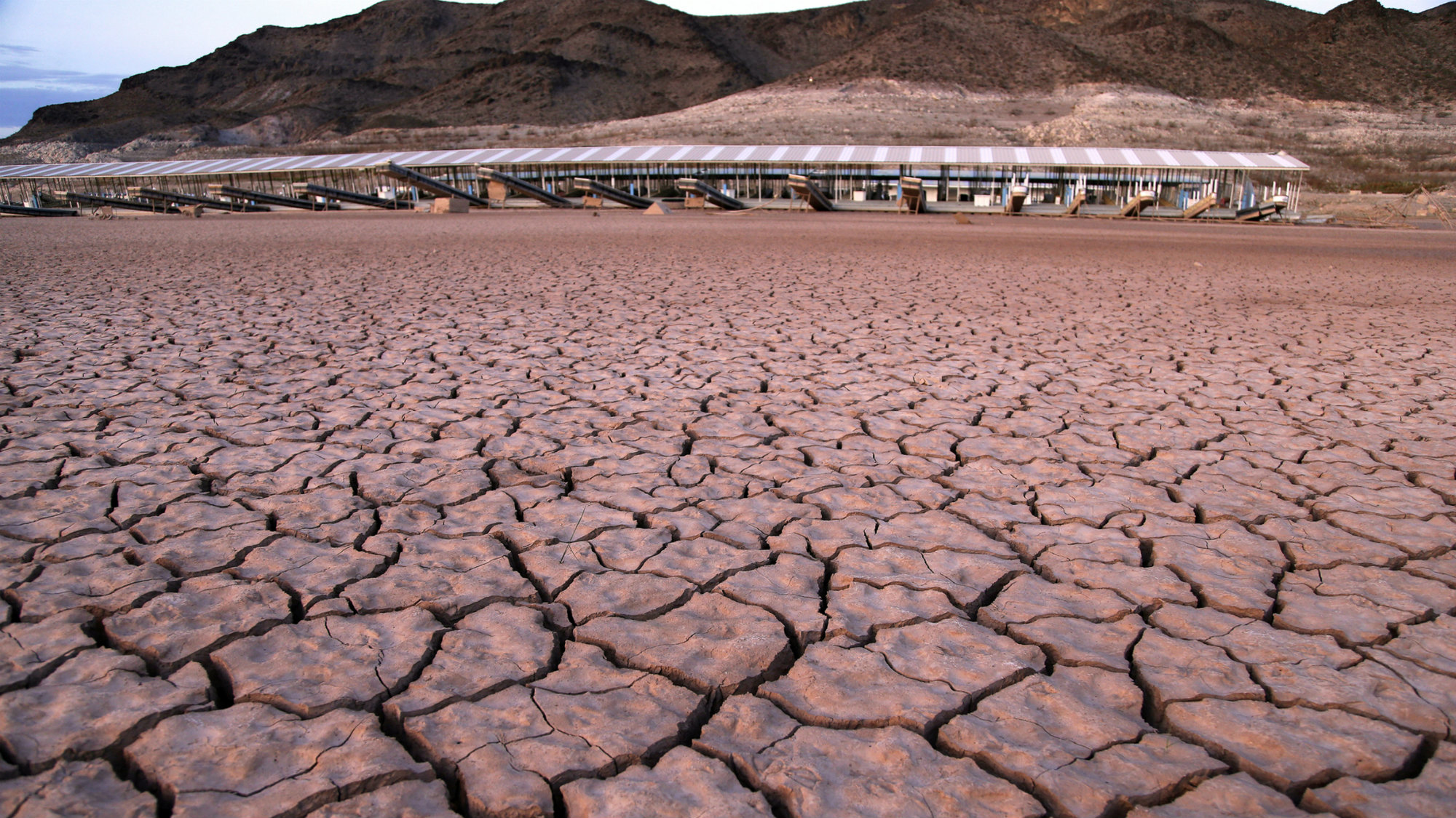 This Is How One Family Tries to Makes Sense of Losing Its Colorado ...