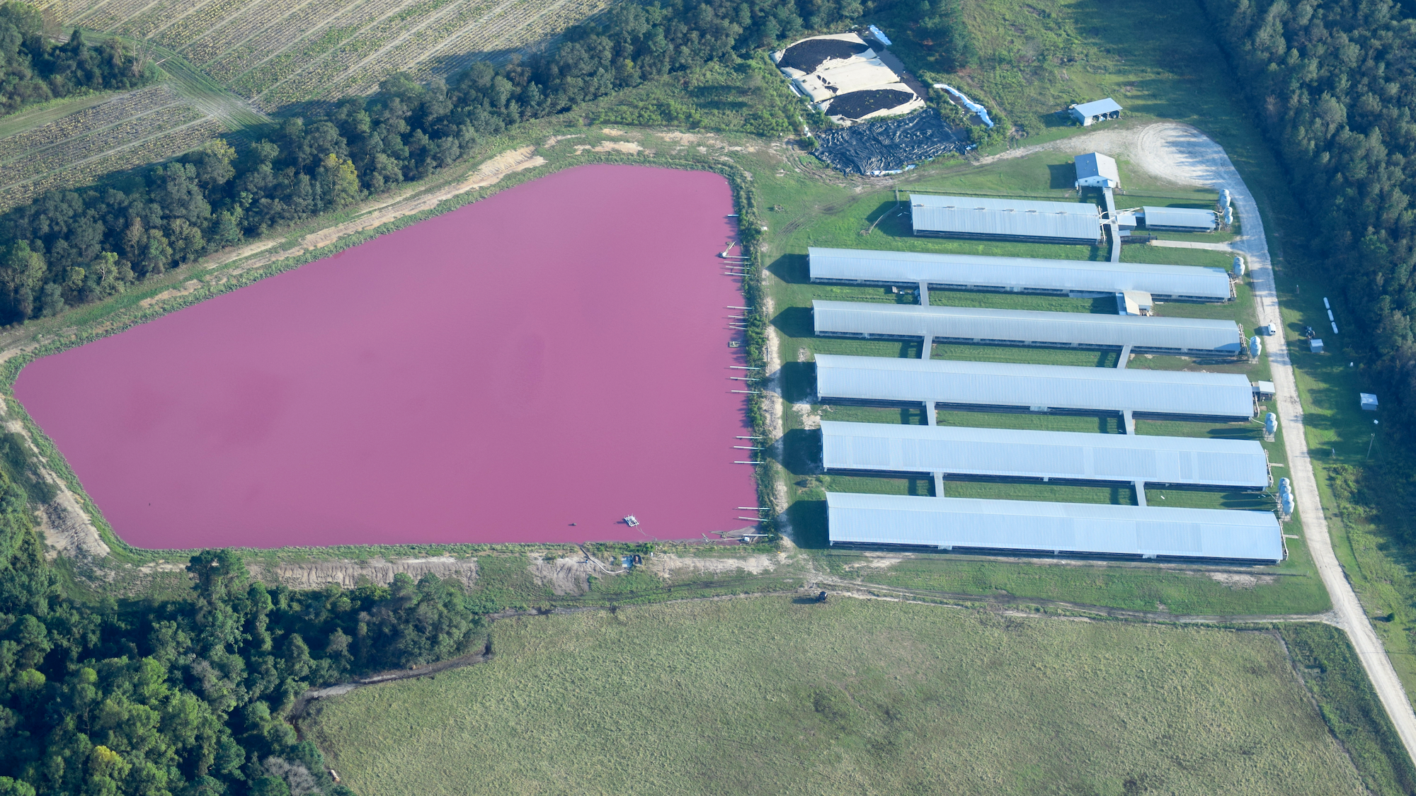 North Carolina Braces for Another Flood of Hog Poop – Mother Jones