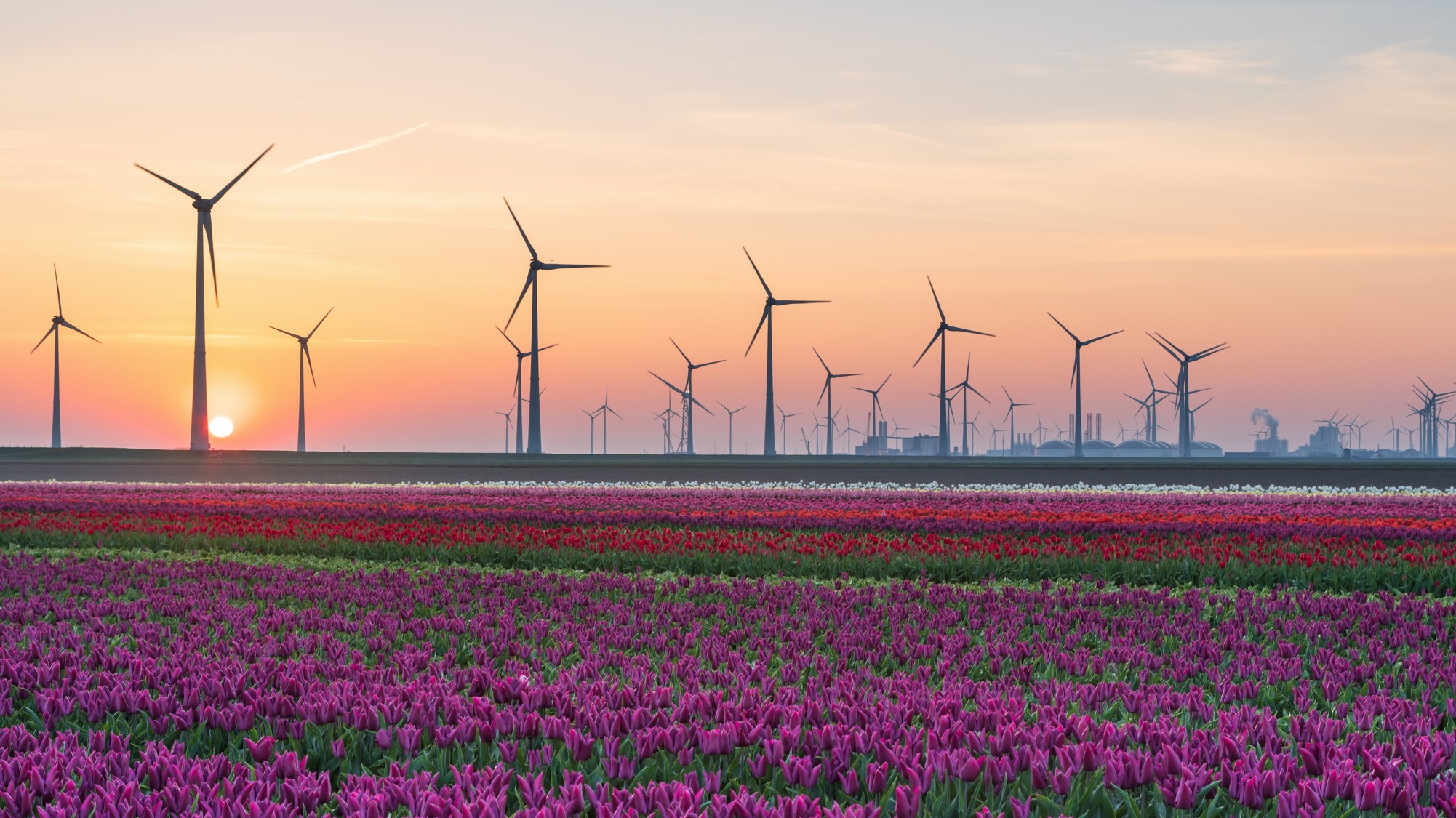 The Netherlands Is Sinking and Here’s Why – Mother Jones