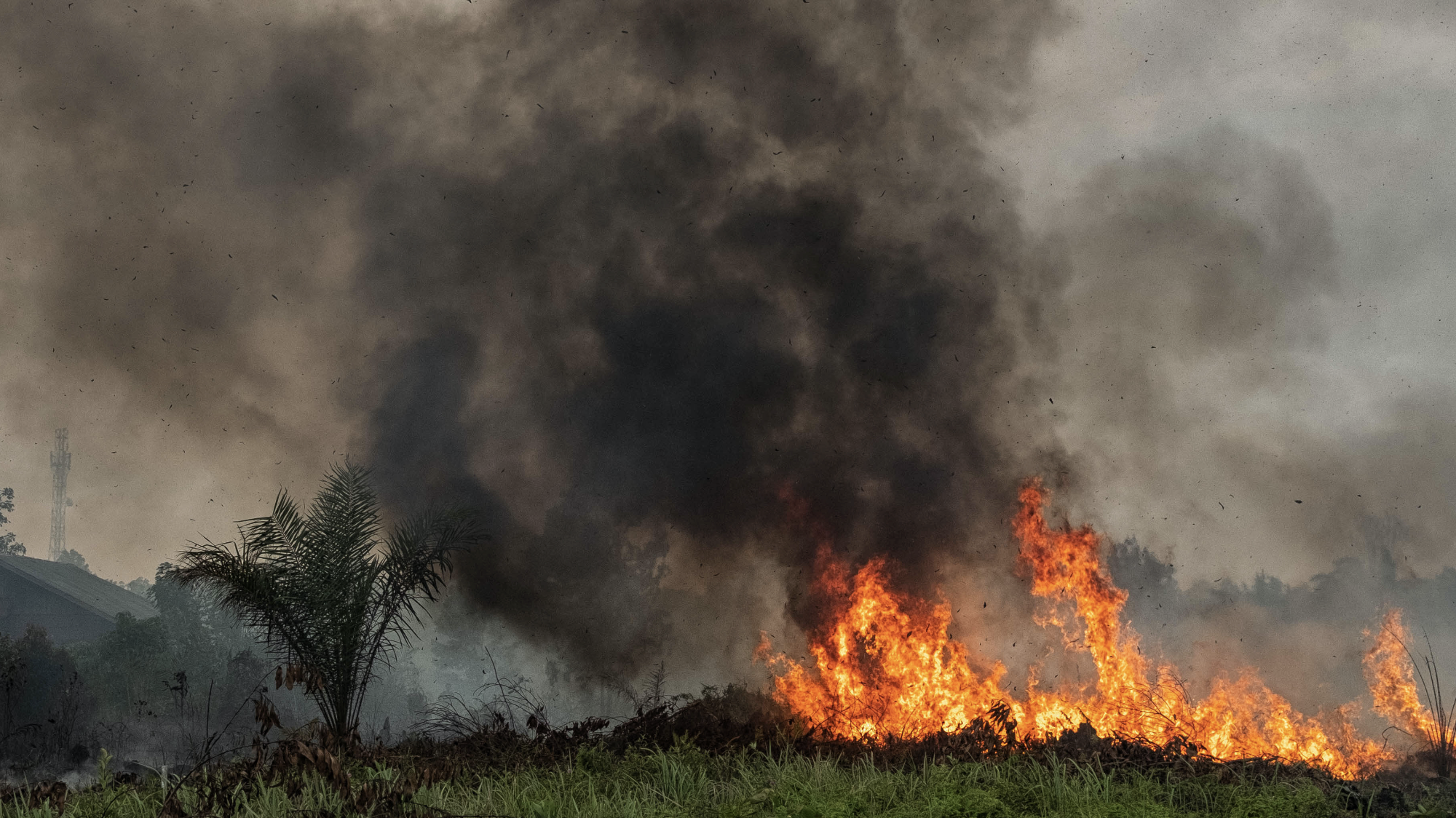 Want to Fight the Zombie Fire Apocalypse? Weaponize Math. – Mother Jones