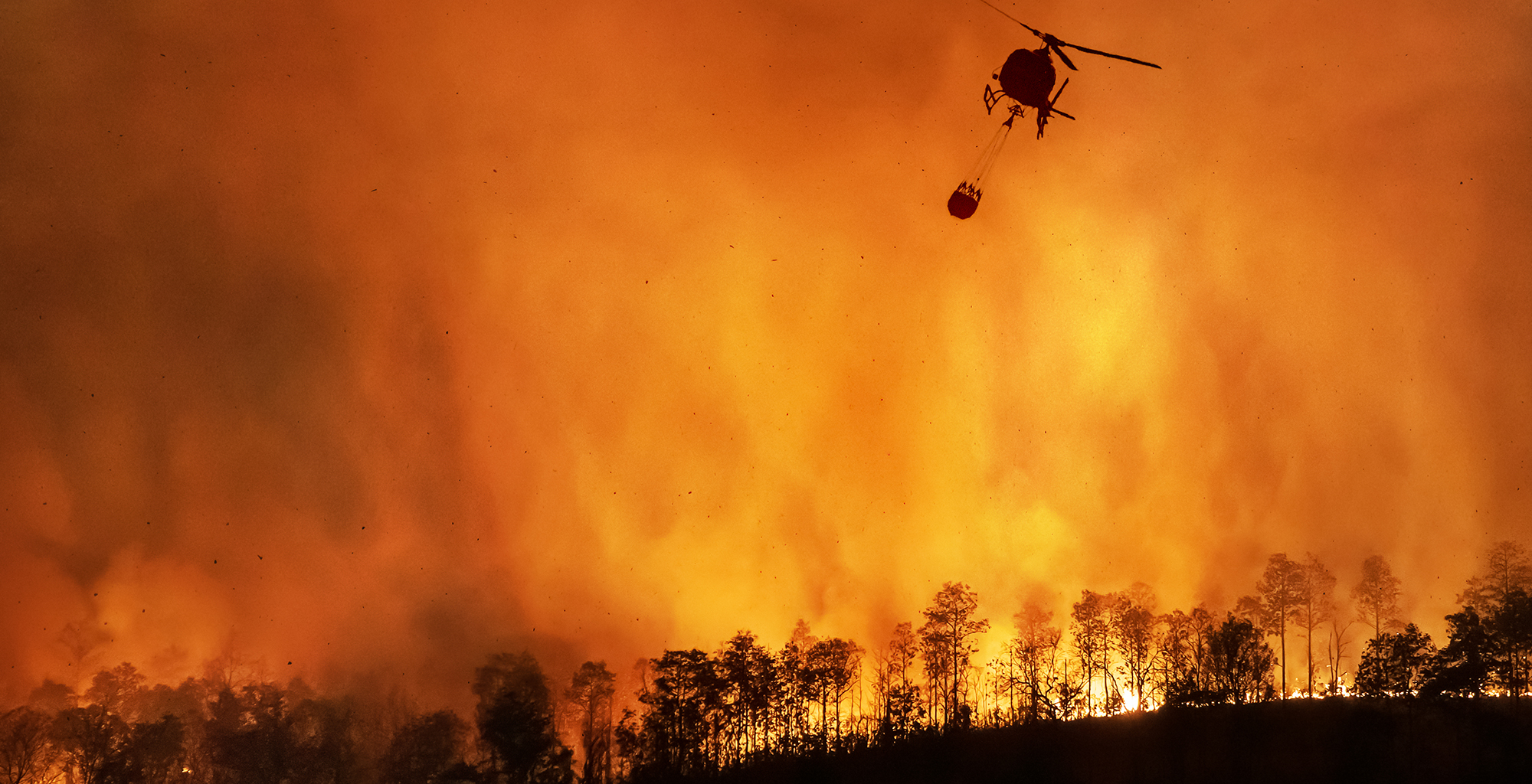 Fires, Floods, Heatwaves: We’re Just Getting Started, Says IPCC ...