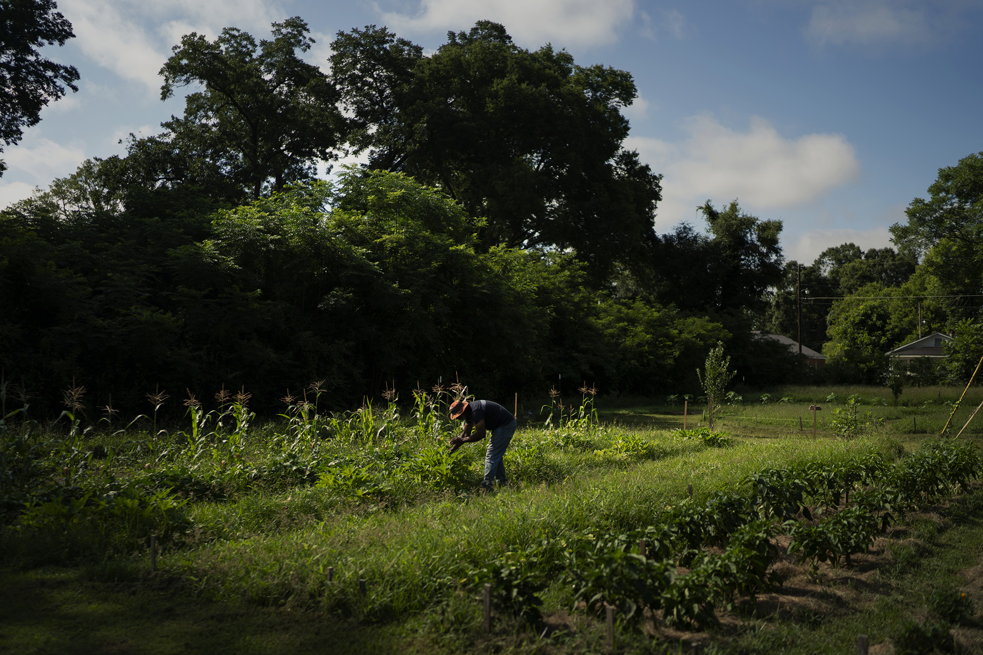 Be Your Own Boss: More Co-op Businesses Are Returning Workers’ Power ...