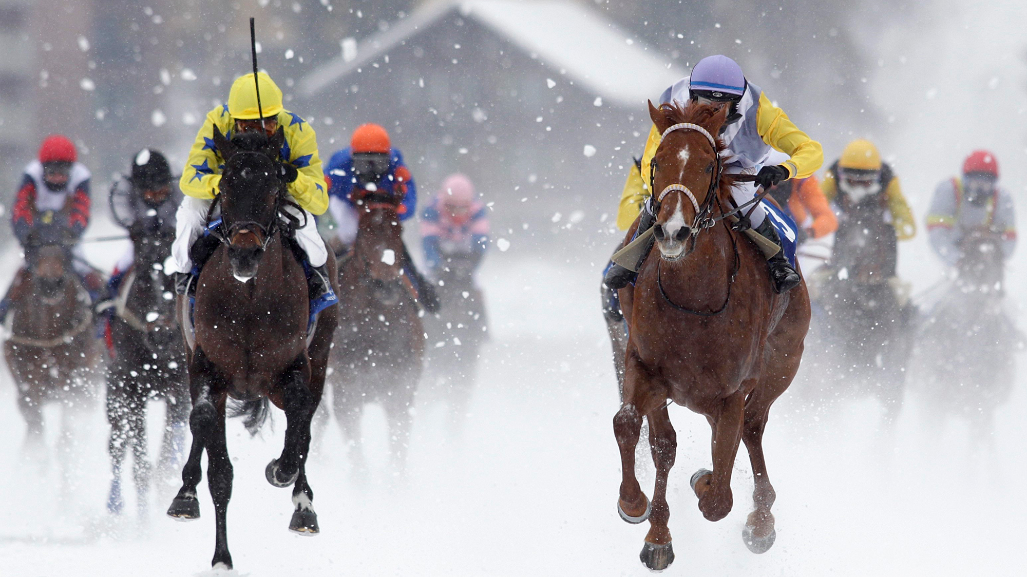 Global Warming Is Marring the World’s Most Exclusive Horse Races ...