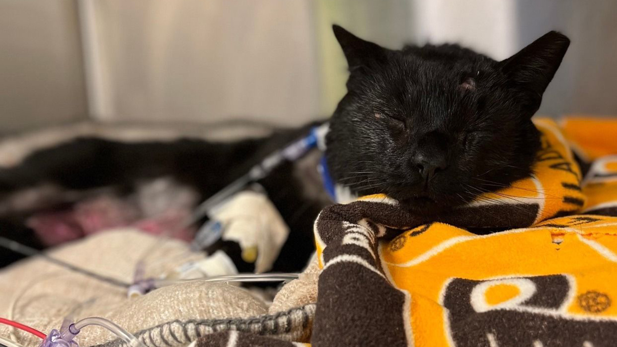 MoJo Wire – Mother Jones