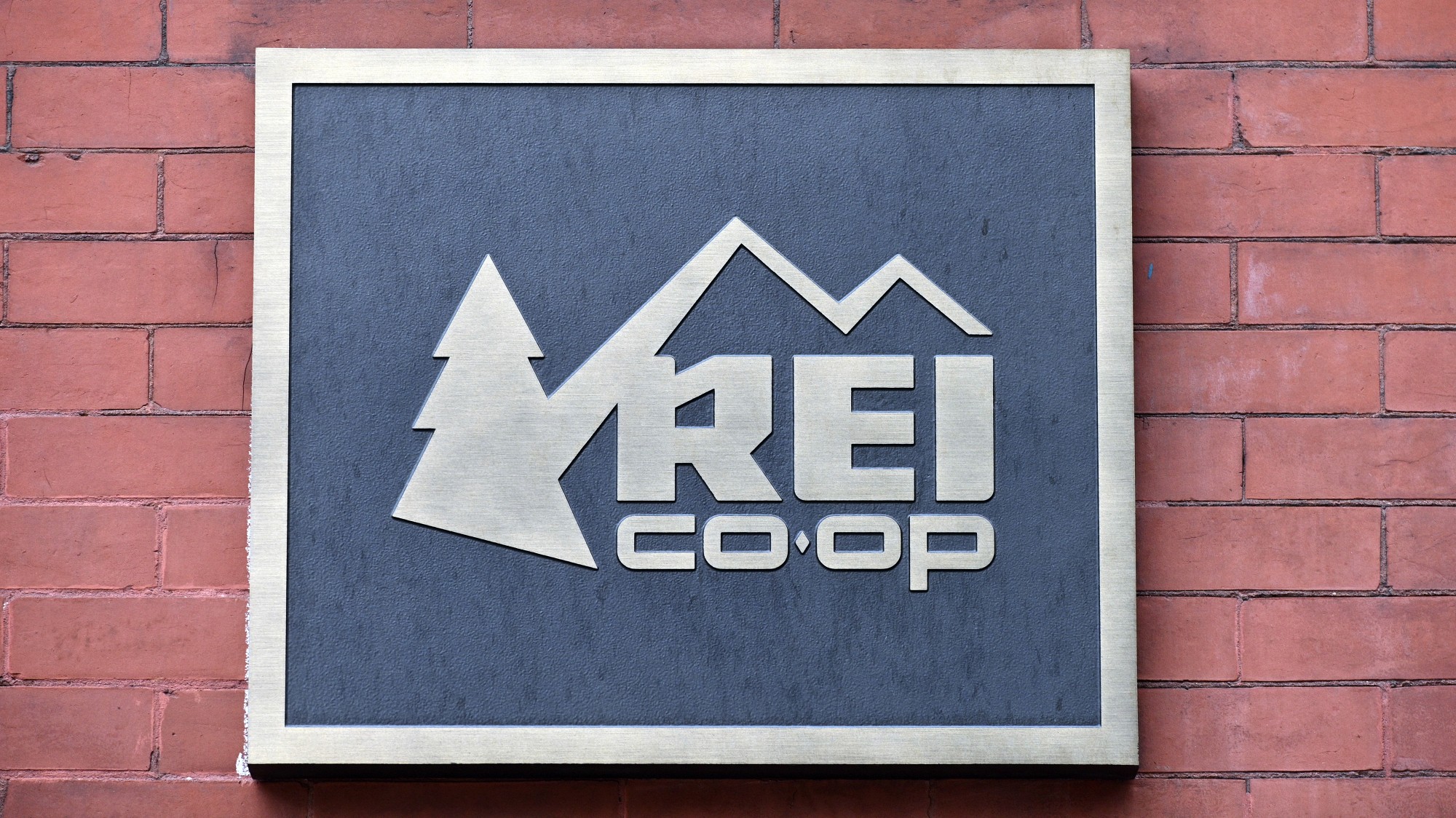 REI Workers Just Unionized—Again – Mother Jones