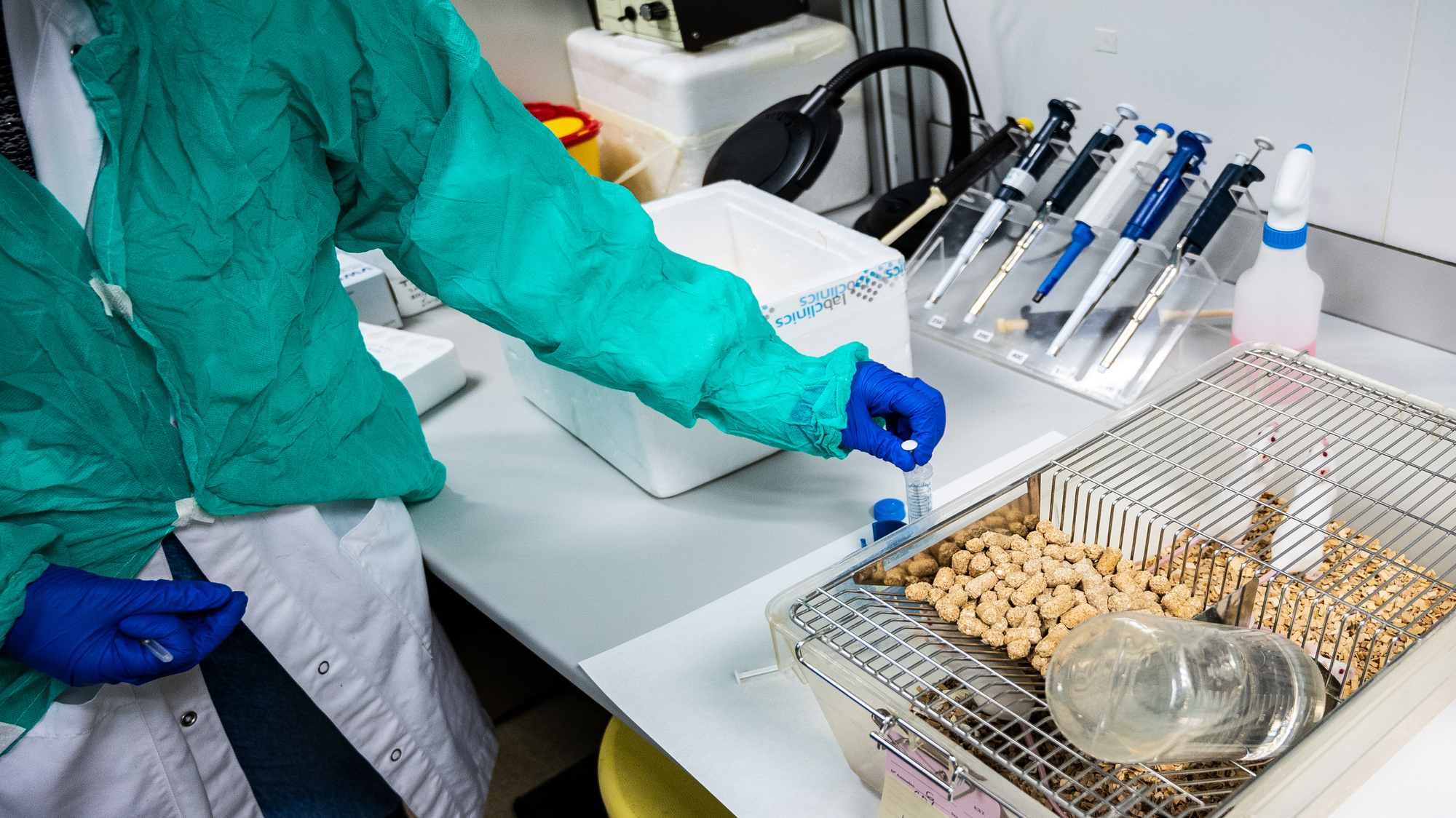 The US Just Greenlit High-Tech Alternatives to Animal Testing – Mother ...