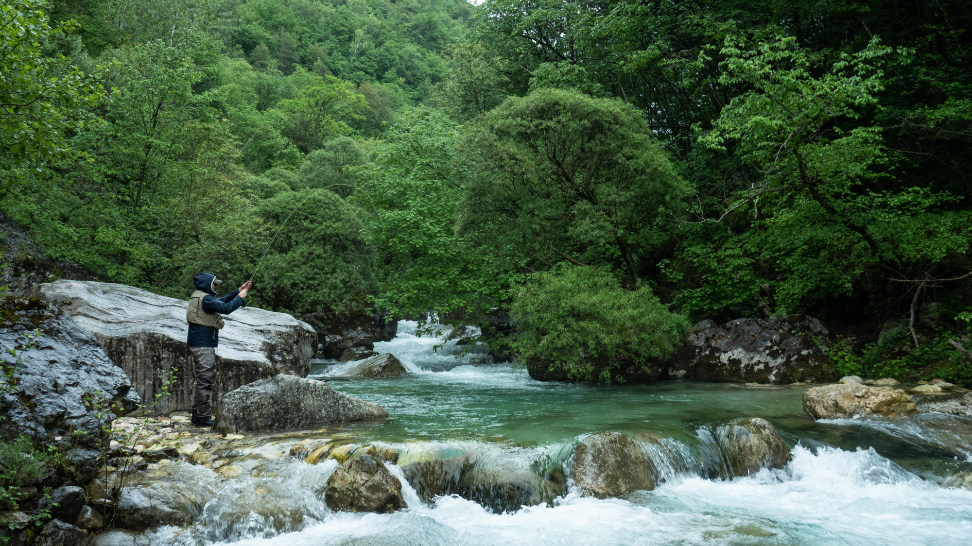 These Researchers Are Working to Quantify the Value of Nature – Mother ...