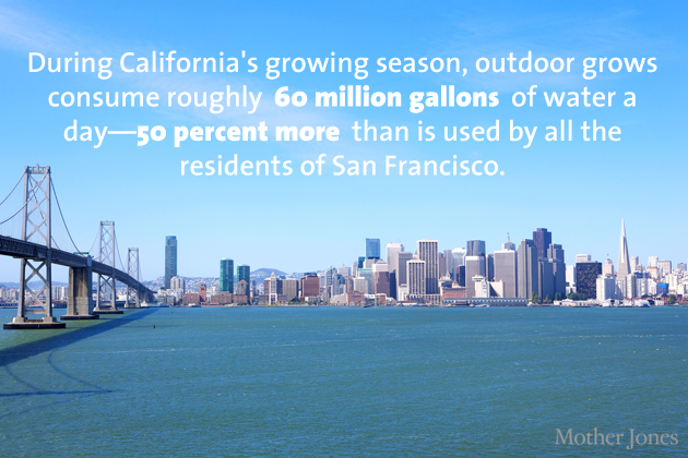 24 Mind-Blowing Facts About Marijuana Production in America – Mother Jones