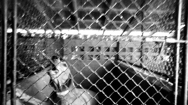 A Brief History of America’s Private Prison Industry – Mother Jones