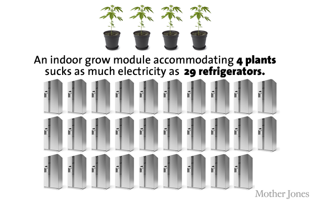 24 Mind-Blowing Facts About Marijuana Production in America – Mother Jones