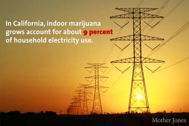 24 Mind-Blowing Facts About Marijuana Production in America – Mother Jones