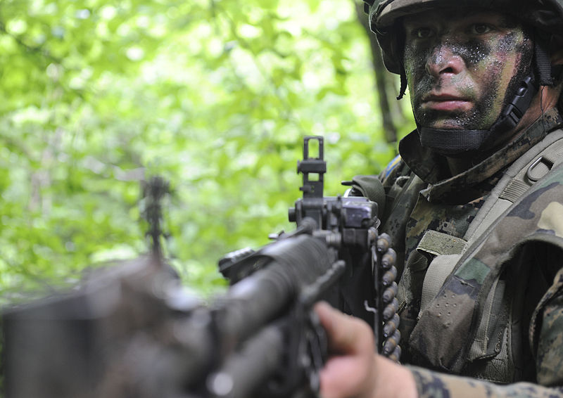 A Non-Gun-Owner’s Guide to Guns – Mother Jones