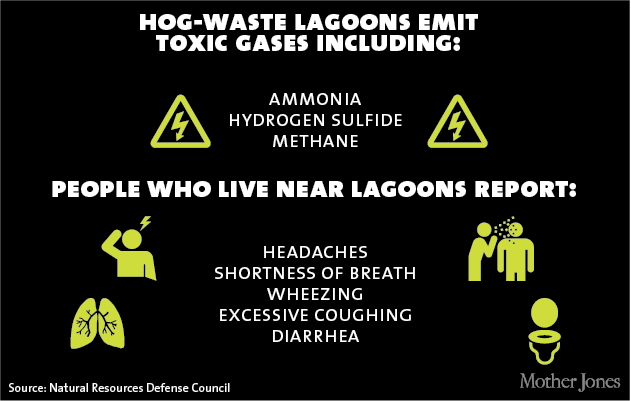 8 Disgusting Facts About Hog Poop – Mother Jones