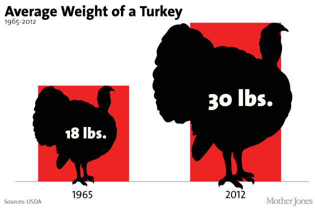 Your Thanksgiving Turkey in 6 Eye-Popping Charts – Mother Jones