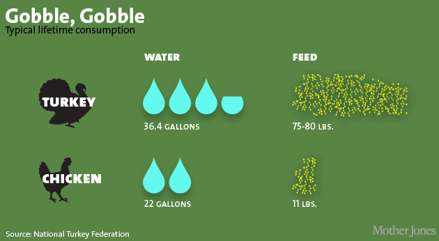 Your Thanksgiving Turkey in 6 Eye-Popping Charts – Mother Jones